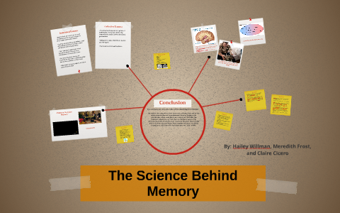 The Science behind Memory by Hailey Willman on Prezi