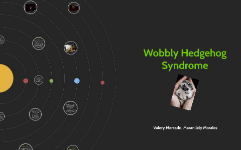 Wobbly Hedgehog Syndrome (WHS) by Valery Mercado on Prezi