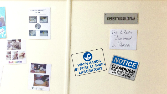 Golden Rain Experiment by Irsalina Fathimah on Prezi