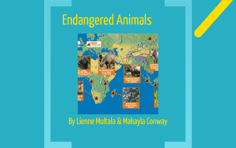 Endangered Animals by fifth grade on Prezi