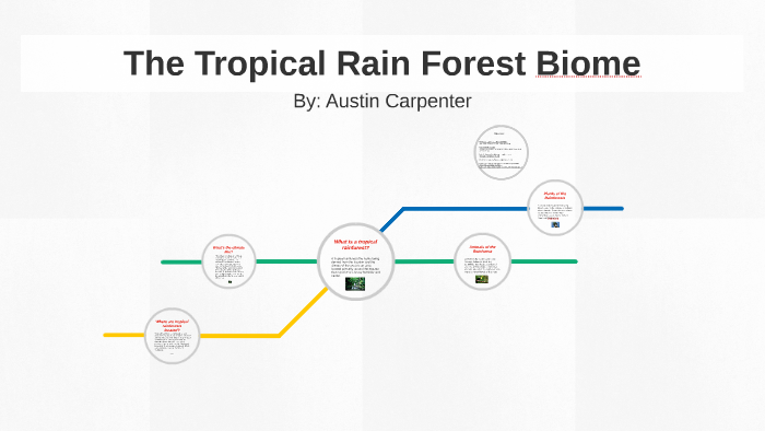 The Tropical Rain Forest Biome by Earth Science on Prezi