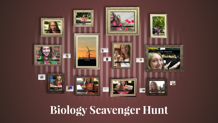 Biology Scavenger Hunt by Elizabeth Clifford on Prezi