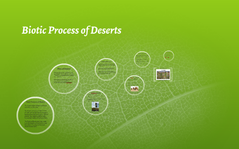 Biotic Process of Deserts by Maynard Huynh on Prezi