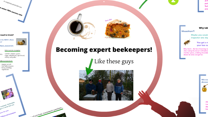 Progressing with beekeeping - from the Basic Assessment to Modules by ...
