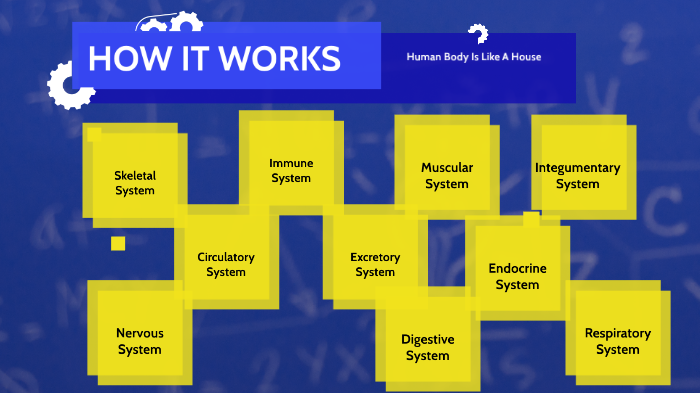 Human Body is Like A House by Christina Campbell on Prezi