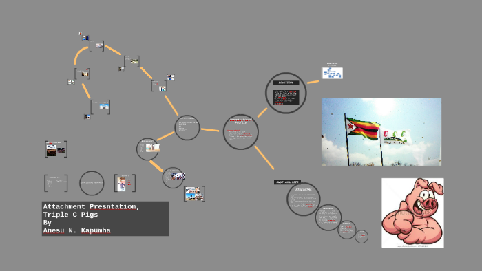 Attachment Presntation, Triple C Pigs by Anesu Kapumha on Prezi