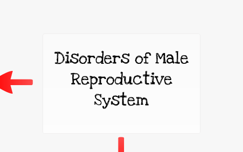 Disorders of Male Reproductive System by Natalia Skvirblys on Prezi