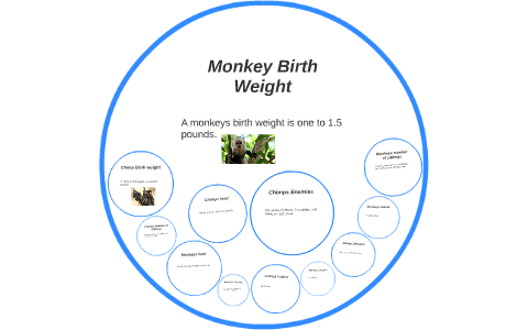 Monkey Birth Weight by on Prezi