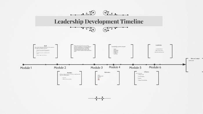 Leadership Development Timeline by Darius Warner on Prezi