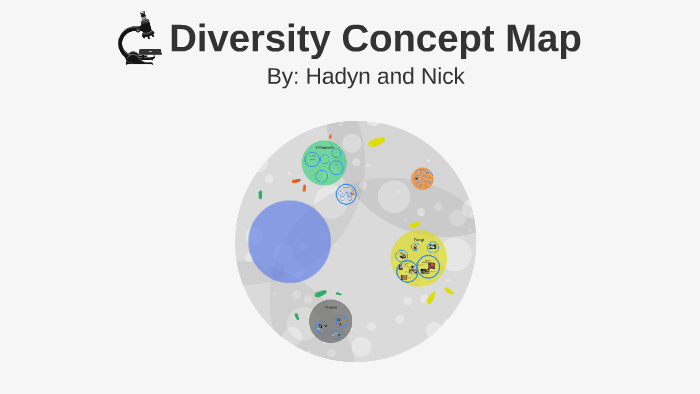 Biodiversity Concept Map by hadyn ankenmann