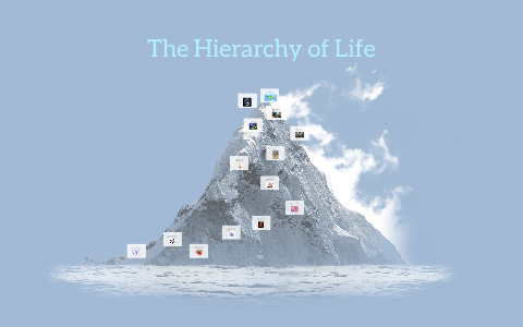 The Hierarchy of Life by Ruth Eardley on Prezi