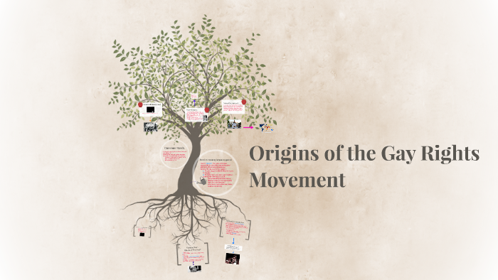 Origins of the Gay Rights Movement by James Goodwin
