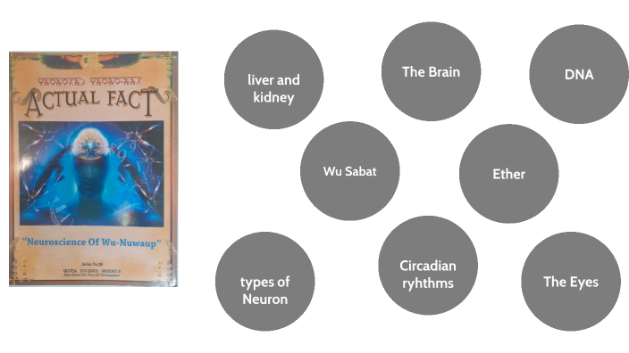 neuroscience of Wu-Sabat by Khanas Sanan Amun on Prezi