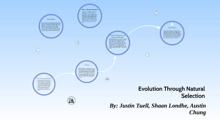 Evolution Through Natural Selection by Justin Tuell on Prezi