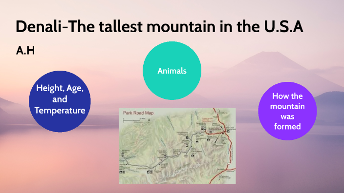 Denali by Addison Houghton on Prezi