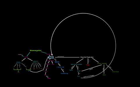 Bioenergetic Concept Map by Lynn Ferro on Prezi