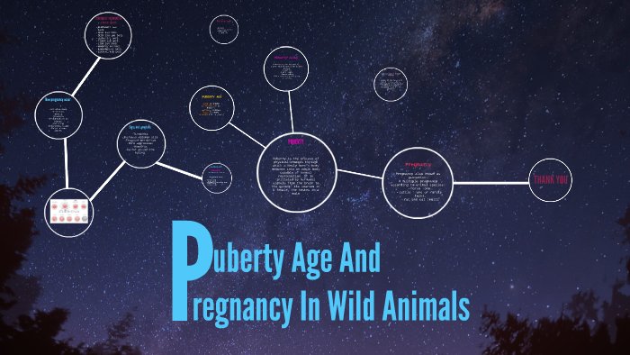 Puberty Age And Pregnancy In Wild Animals by Mohamed Soliman on Prezi