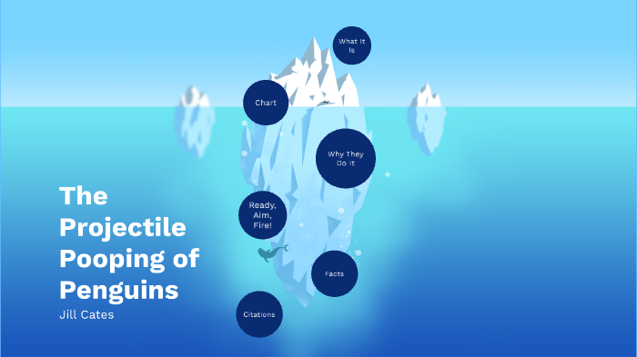 Projectile Penguin Pooping by Regina Phalange on Prezi
