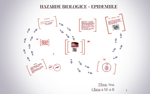 HAZARDE BIOLOGICE - EPIDEMIILE by Tiboc Ana on Prezi