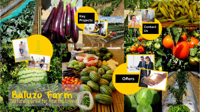 baluzo farm by mark baluzo on Prezi