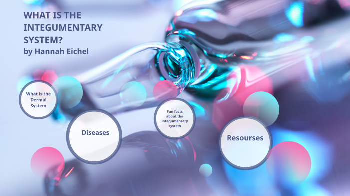THE INTEGUMENTARY SYSTEM by Hannah Eichel on Prezi