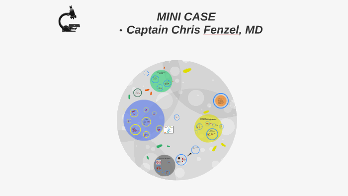 MINI CASE by Chris Fenzel