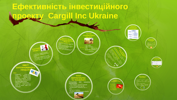 Ефективність інвестиційного проекту Cargill Inc Ukraine by Lera ...