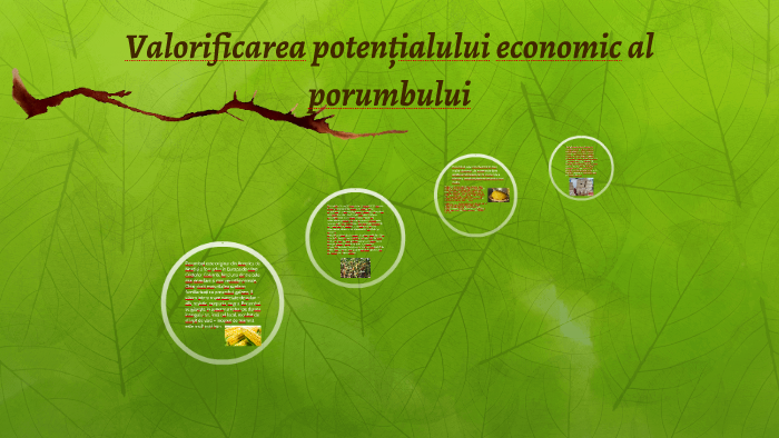 Valorificarea potențialului economic al porumbului by Victoria Ciobanu ...