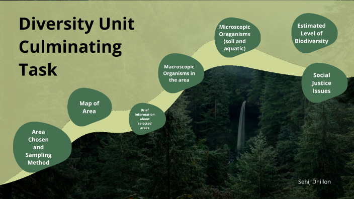 Diversity Unit Culminating Task by Sehij Dhillon - Chinguacousy SS ...