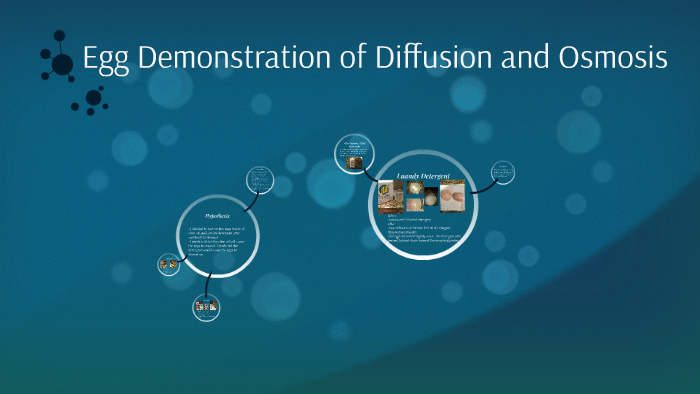 Egg Demonstration of Diffusion and osmosis by Kass H on Prezi