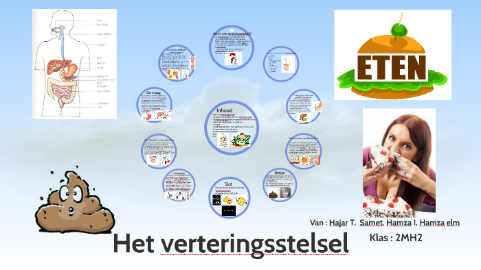 Het verteringstelsel by hajar t on Prezi