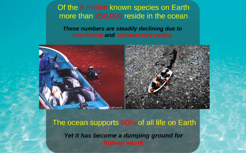 75% of the Earth's surface is covered in Oceans. by Ophelia Gold on Prezi