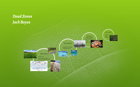 Dead Zones by Jack Boyes on Prezi