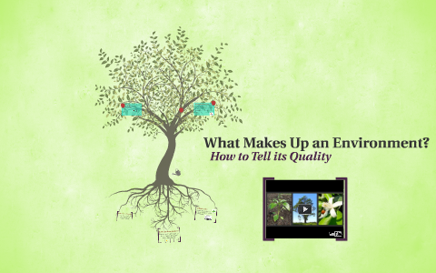What Makes Up an Environment? by Catherine Hall on Prezi