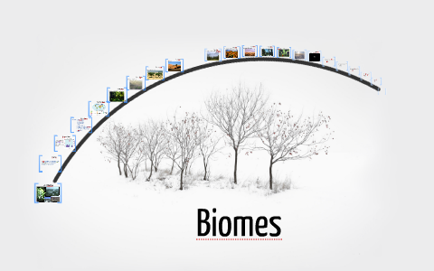 Biology Chapter 4 Section 3 Biomes by Mark Meredith on Prezi