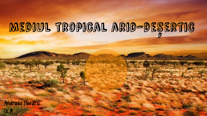 Mediul tropical arid-deșertic by Andrada Moraru on Prezi