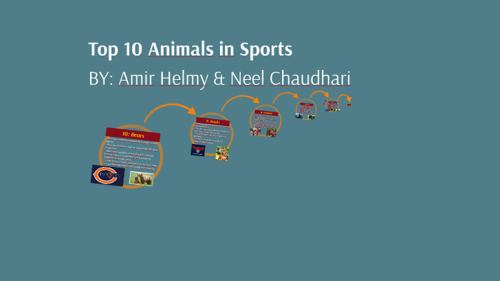 Top 10 Animals in Sports by Neel Chaudhari on Prezi