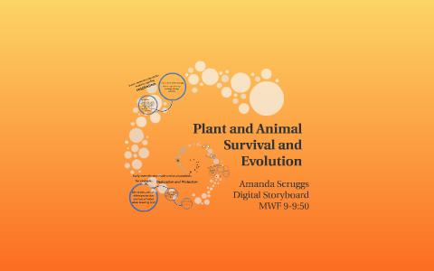 Plant and Animal Survival and Evolution by Amanda Scruggs on Prezi