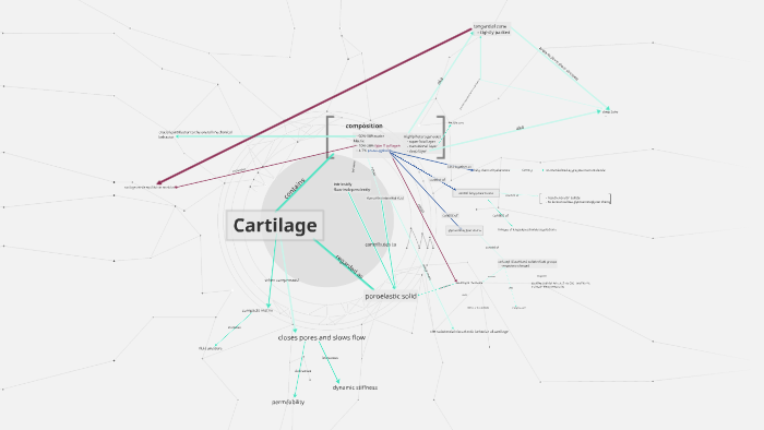 BEN465 Cartilage Concept Map by NESTA YIP by on Prezi