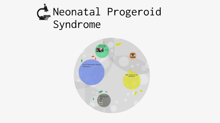 Neonatal Progeroid Syndrome by Zoe Nguyen on Prezi