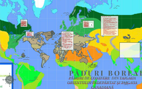 PĂDURI BOREALE by Negru Maria on Prezi