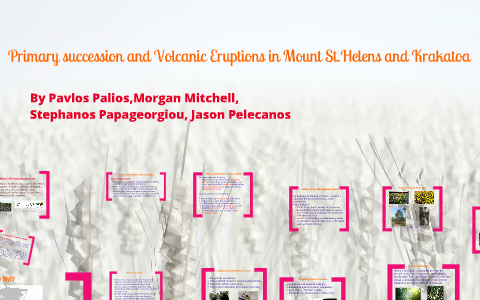 Volcanic Eruptions and Primary Succession by S P on Prezi