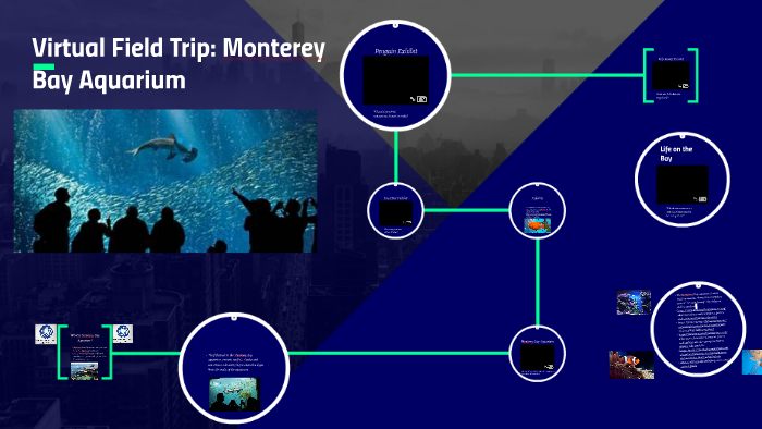 Virtual Field Trip: Monterey Bay Aquarium by jasmine Roberson on Prezi