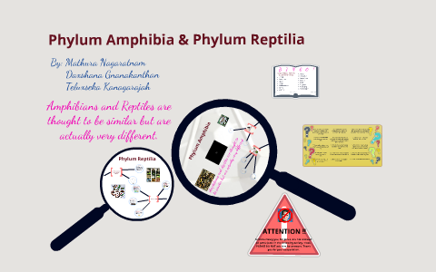 Phylum Amphibia and Phylum Reptilia by Daxshana Gnanakanthan on Prezi
