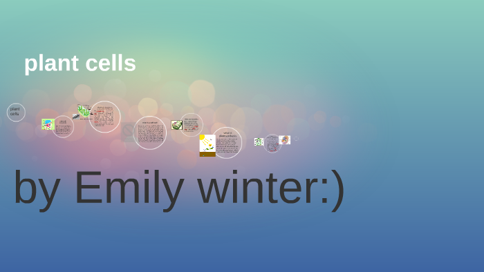 plant cells by Emily Winter on Prezi