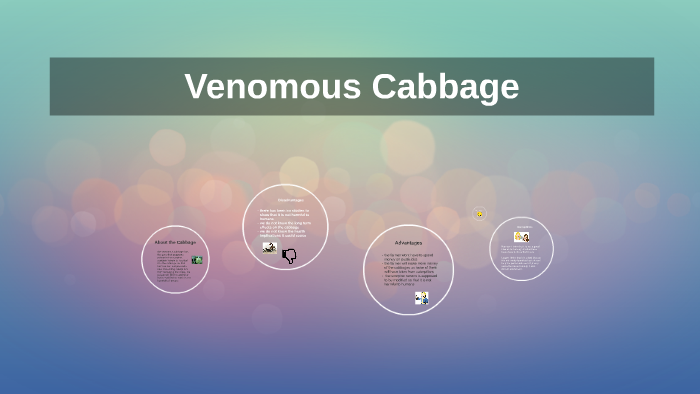 Venomous Cabbage by Logan Moffat on Prezi