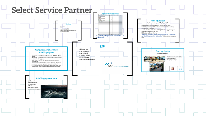 Select Service Partner by Melisa Alieva on Prezi
