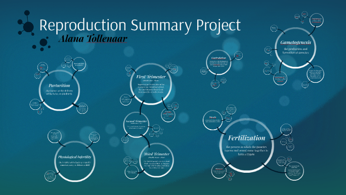 Reproduction Summary Project by Alana T on Prezi
