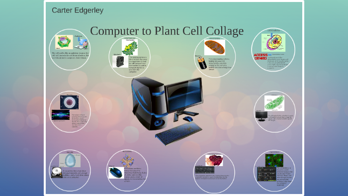 Computer to Plant Cell Analogy by Carter Edgerley on Prezi