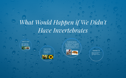 What Would Happen if We Didn't Have Invertebrates by Mauri Williams on ...